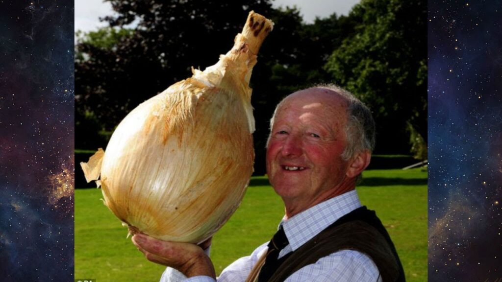 11 Fotos Impactantes de Verduras Gigantes que Te Sorprenderán ...