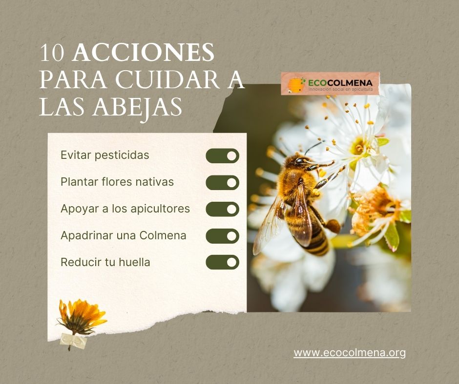 7 Formas de Ayudar a las Abejas a Invernar en tu Jardín - Jardineria Ideal