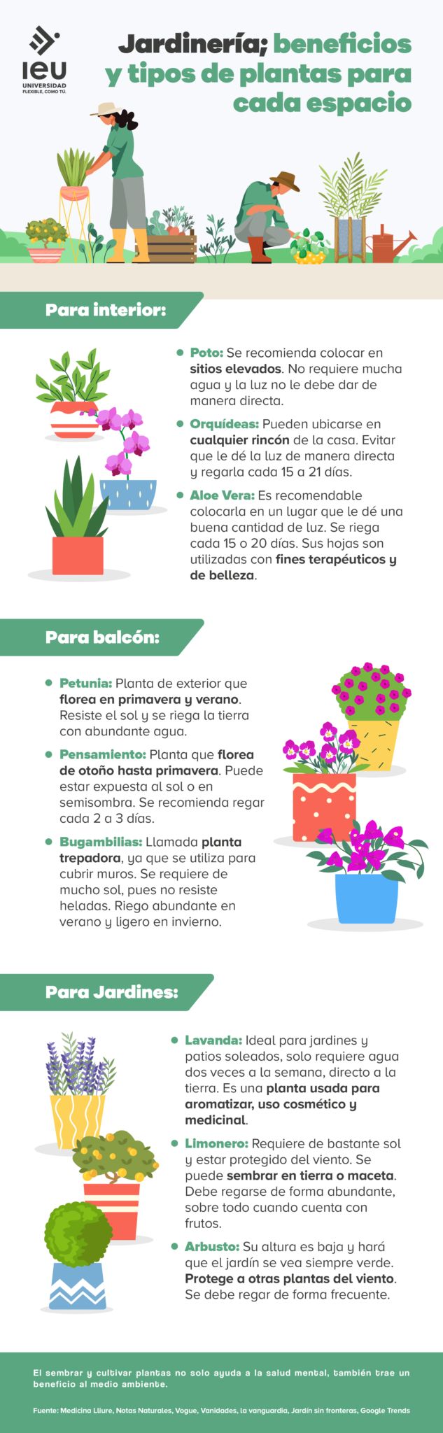 Beneficios de Aprovechar el Jardín Propio en Noviembre - Jardineria Ideal