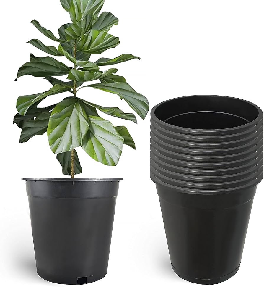 Los Mejores Recipientes Para Jardines en Maceta - Jardineria Ideal